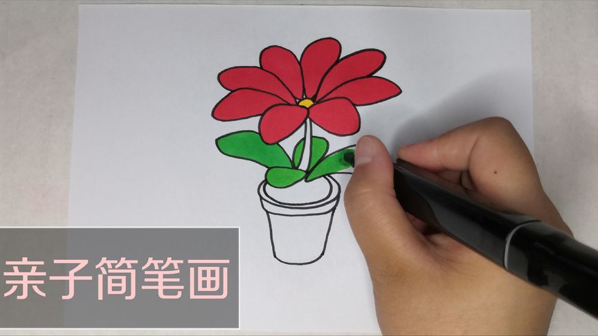 亲子简笔画植物花卉篇,简单好画的盆栽花卉,快跟着步骤画起来吧
