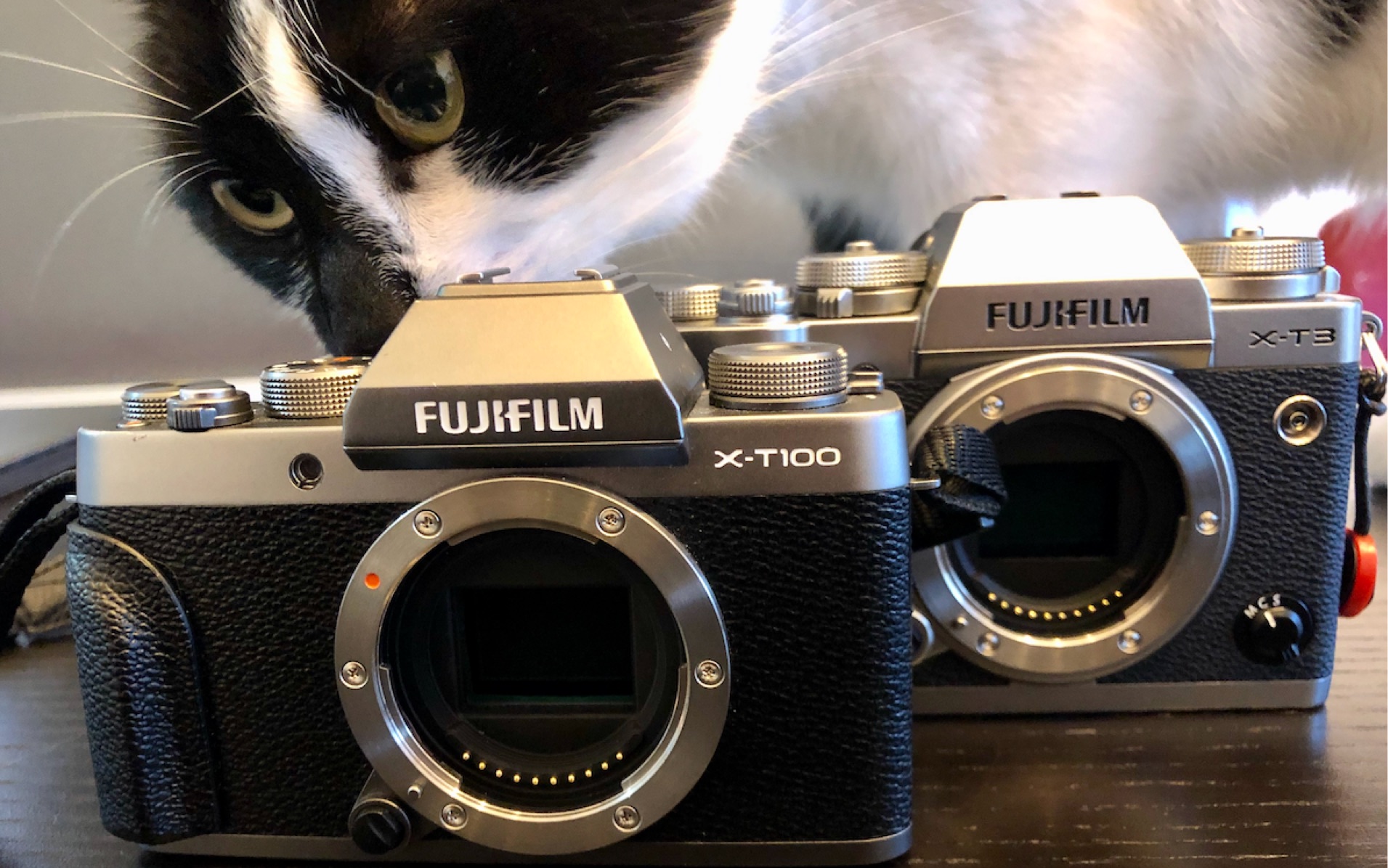 富士X-T3 X-T100 画质对比 X-Trans传感器对比Bayer