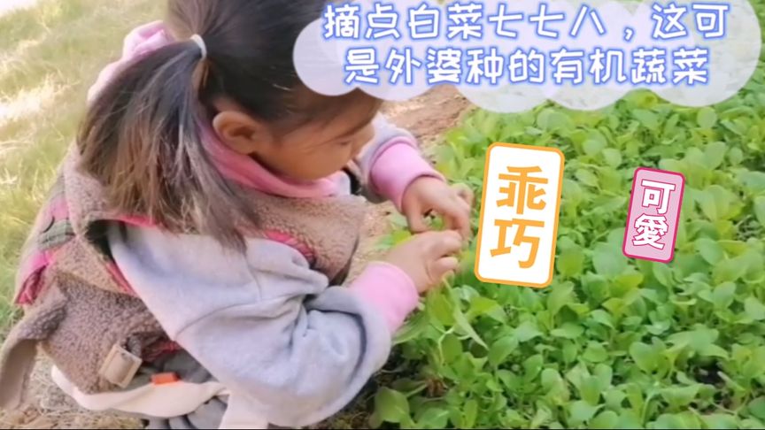 周末你们是怎么安排的
