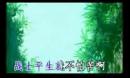 刘和刚-爱国爱家也爱你-国语