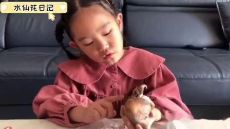 幼儿园视频活动4
