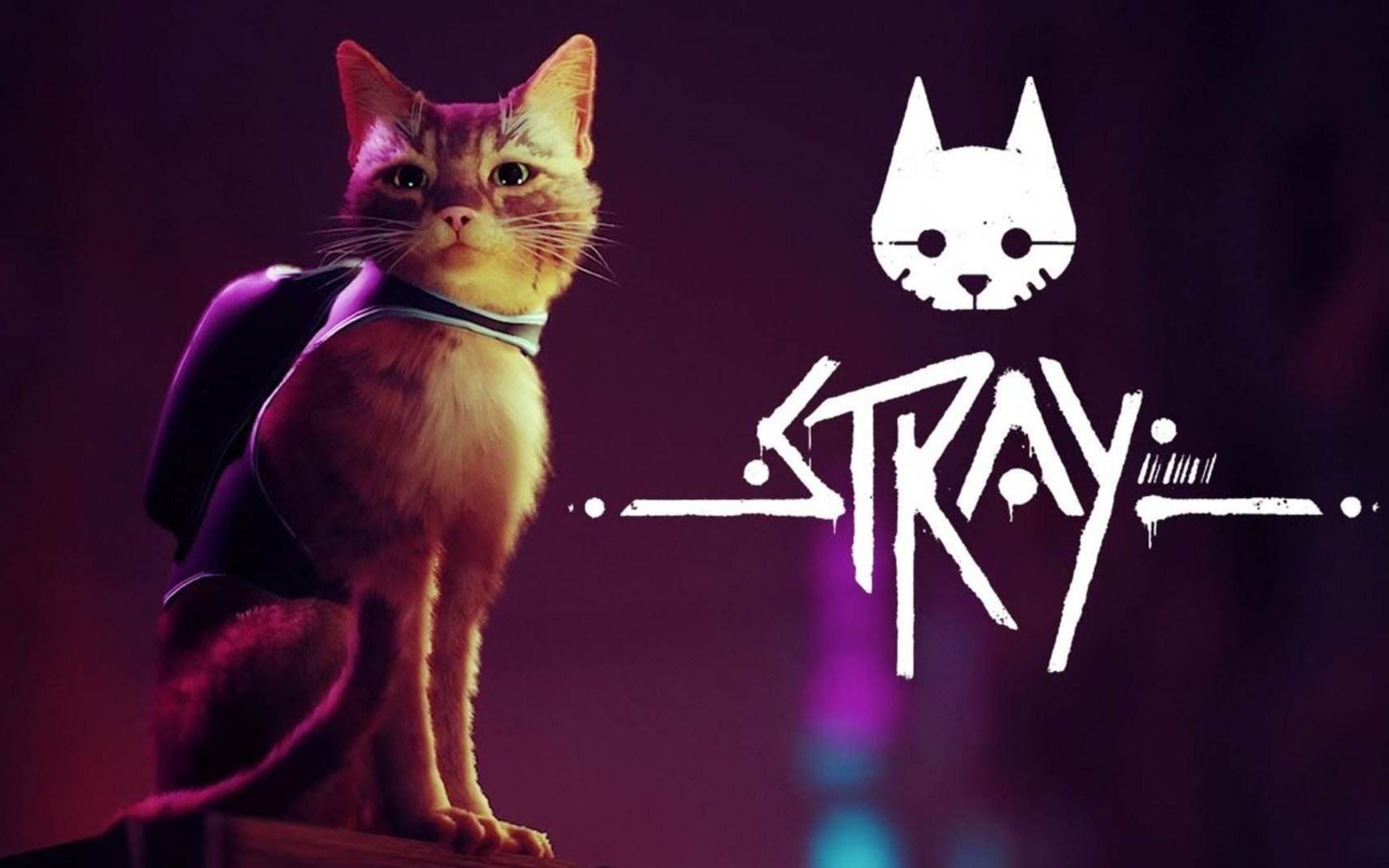 【游戏实况】Part.2 猫咪模拟器!第三人称猫咪视角!《Stray》父子团聚-...