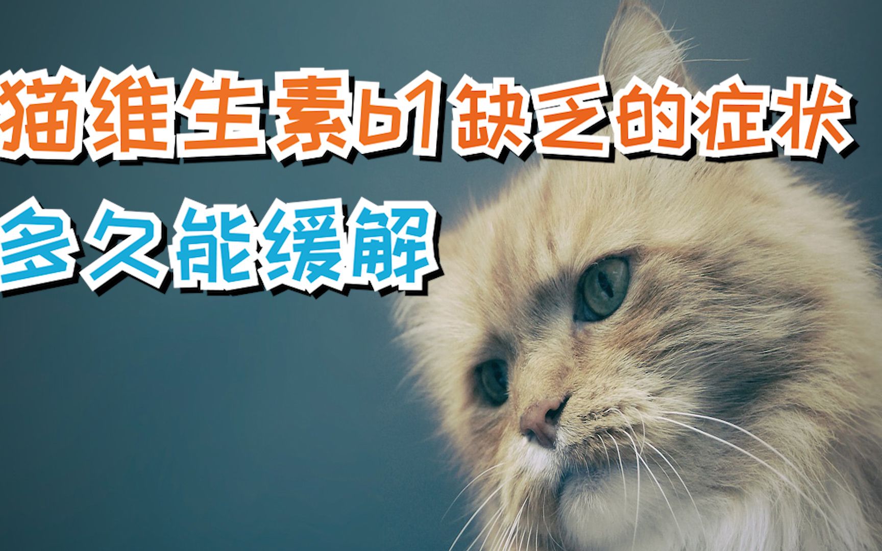 猫维生素b1缺乏的症状多久能缓解