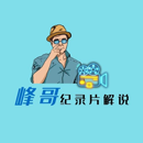 峰哥纪录片解说 