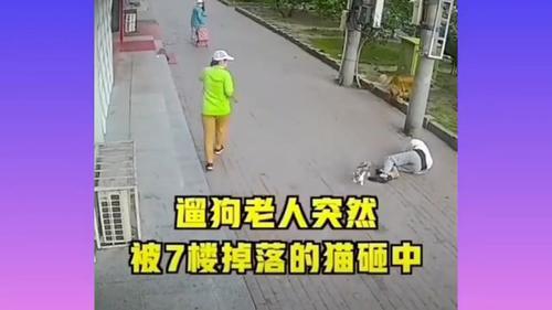 大爷以后出门要带安全帽了