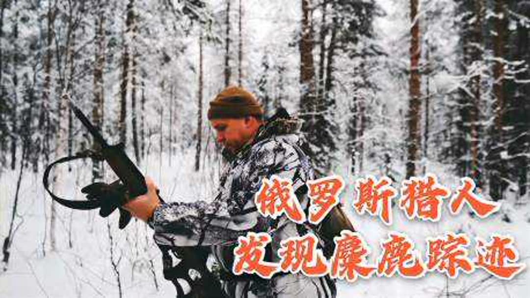 俄罗斯猎人追寻麋鹿！森林地势复杂迷了路，8小时后终于发现猎物