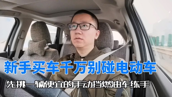 新手买车建议:别碰电动车!先挑辆燃油车练手