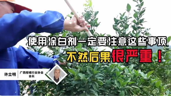 使用涂白剂一定要注意这些事项,要不后果很严重!