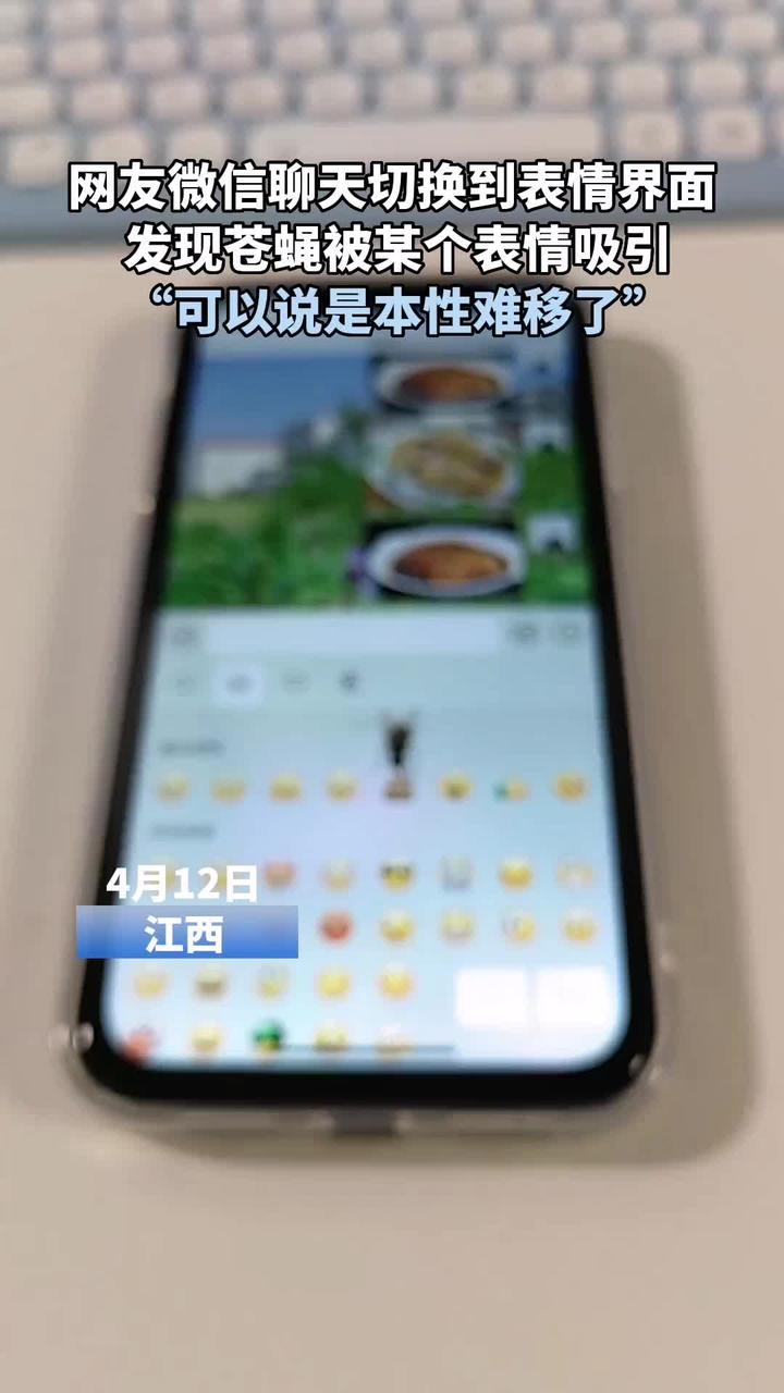 网友微信聊天切换到表情界面,发现苍蝇被某个表情吸引,“可以说是...
