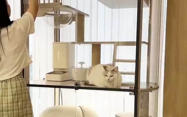 【家有萌宠】全景猫别墅曲面通透钢化玻璃独特的热弯玻璃工艺全景...