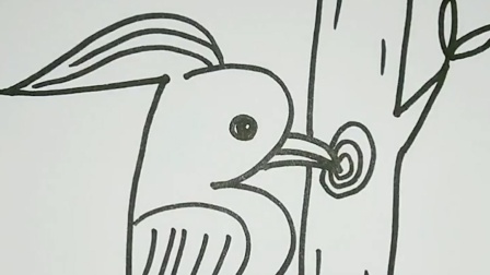 幼儿早教简笔画:神奇的数字画鸟