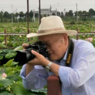 江西丰城杨柳清雅 