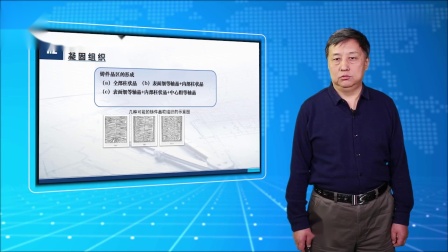 机械制造与自动化面试技巧 机械制造课程设计总结设计阶梯轴 自