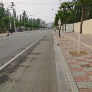 一往无前杨 