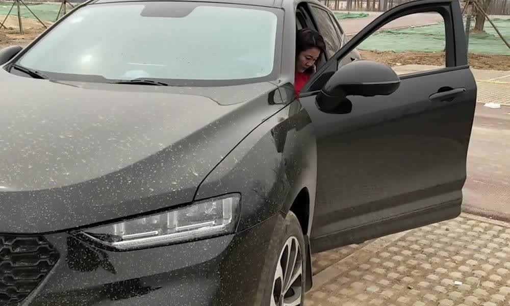 农村美女20多万买国产车,不去4S店看车却在网上订车,来看看