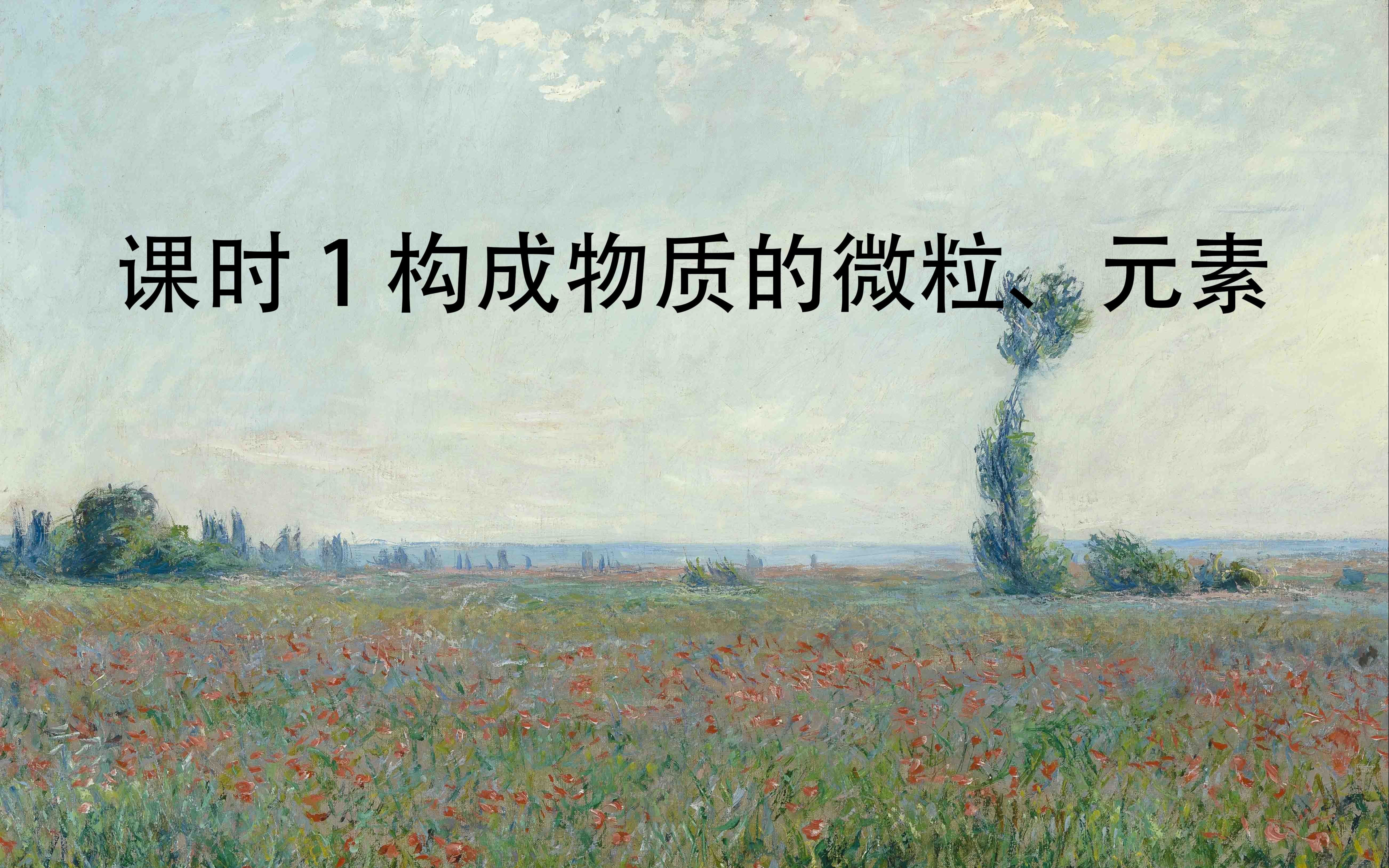 中考化学复习-课时1-构成物质的微粒、元素