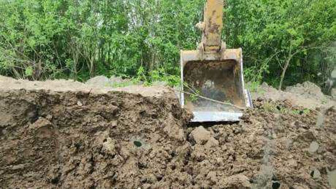 挖机把树苗挖断,一棵树苗赔偿1000块