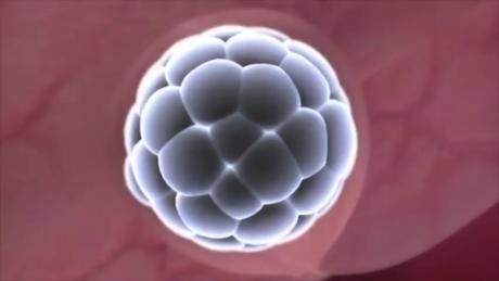 科普视频:生命的起源