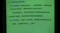 生理学(68)神经元的信息传递