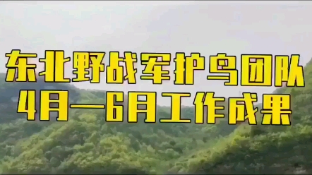 2分钟小视频,带你了解护鸟一线!