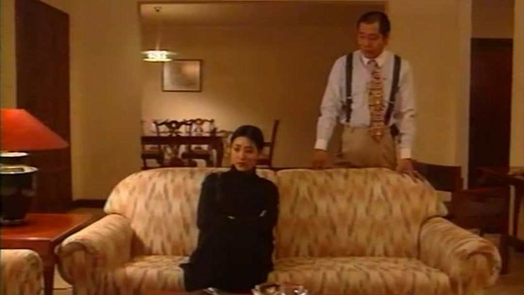 富商偷税漏税还要甩锅!美女会计这下恼羞成怒!