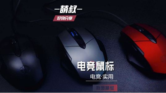 为了满足了我的粉丝的那些要求,这个电竞鼠标找的我头都秃了