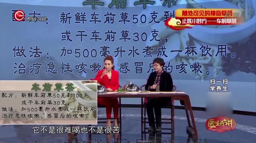 医生开讲:中药车前草竟含这么多治疗功效?真是好东西,听专家讲