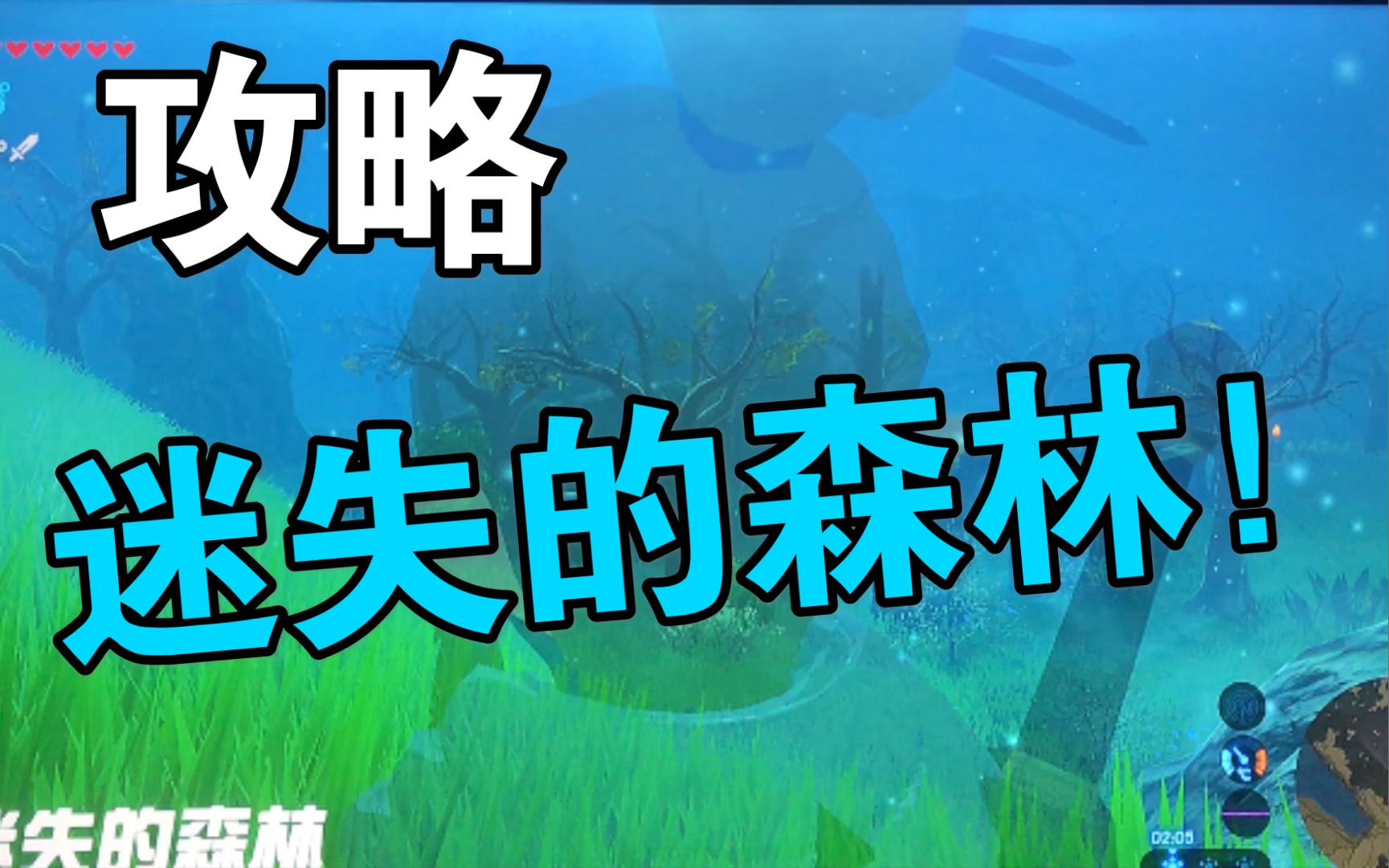 泡泡塞尔达迷失的森林详解