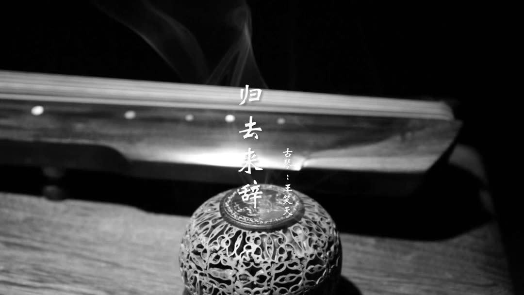 琴曲欣赏《归去来辞》归去来兮,田园将芜胡不归 | 弹奏:王笑天