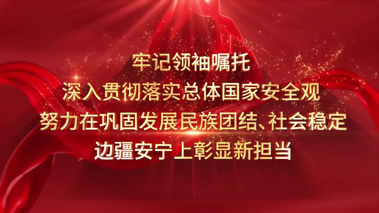 牢记领袖嘱托贯彻总体国家安全观#国家安全
