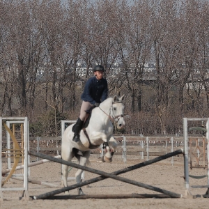 郓城大禾牧业有限公司 