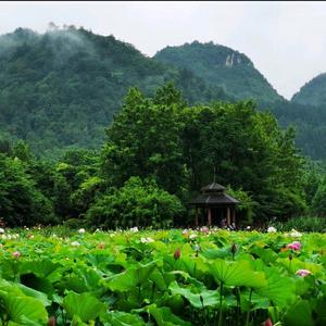 期市至简市界 
