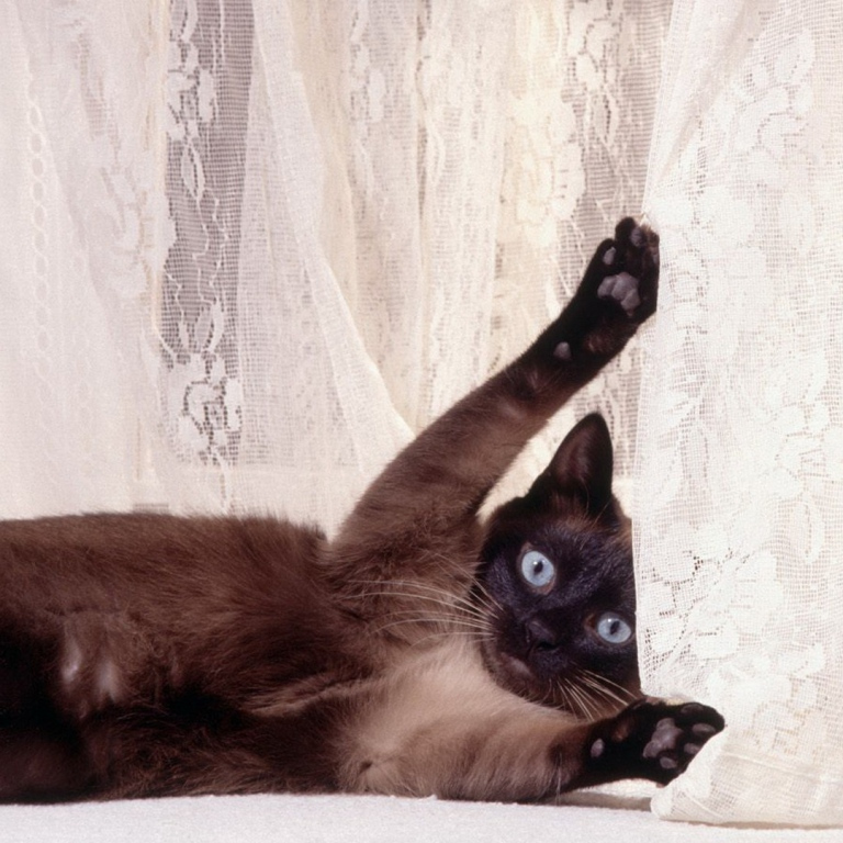 延晶谈电影剪辑 