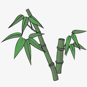 白桦耐寒 