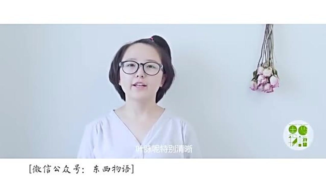 3分钟教你做最美叶脉书签