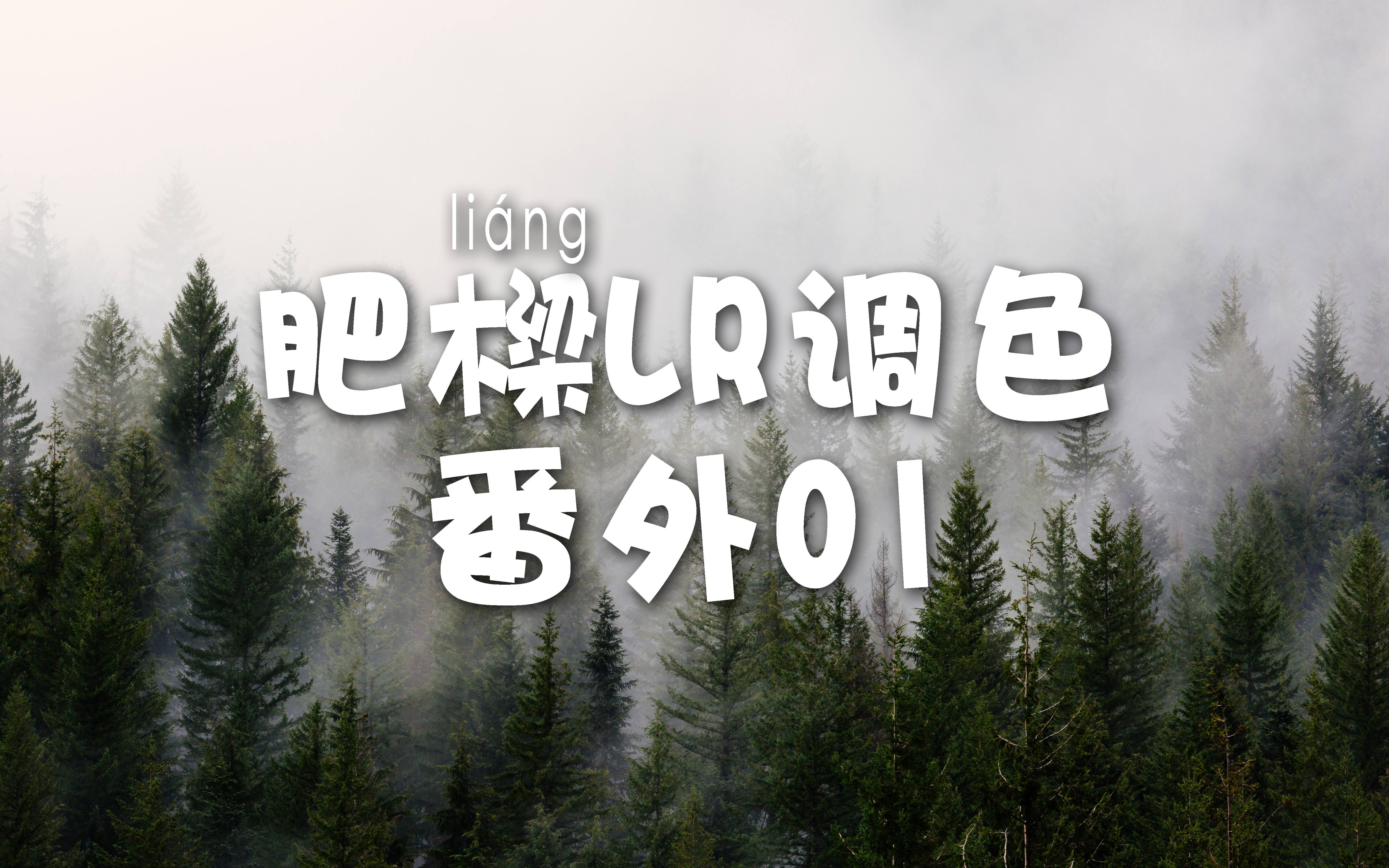 肥樑LR番外01——LR入门教程经验分享(上)