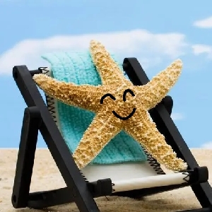 不肯背范文的海星 