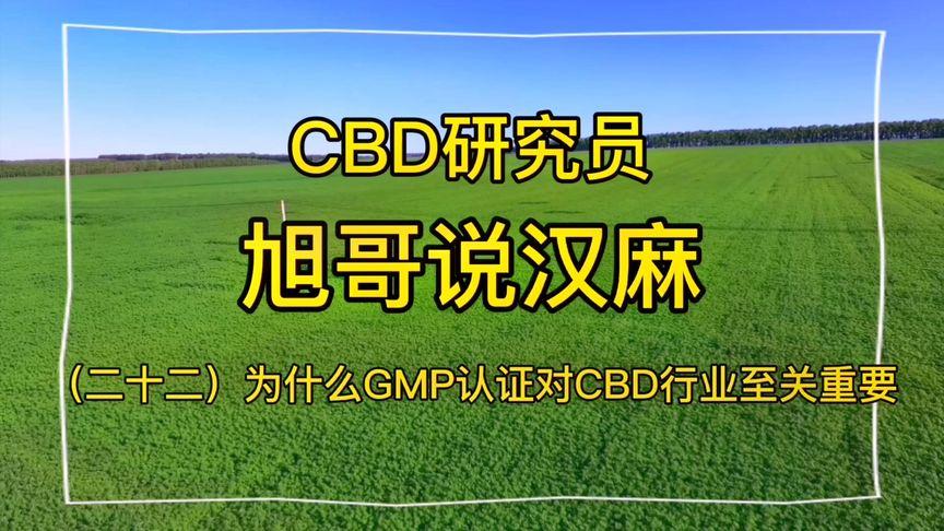 为什么GMP认证对CBD行业至关重要