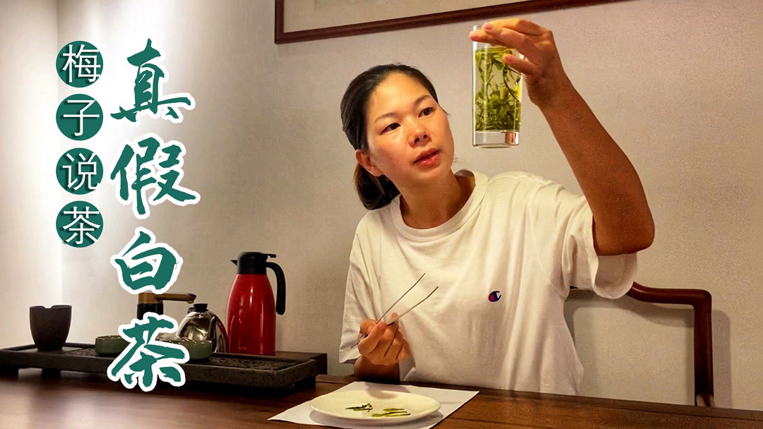 真假白茶大揭秘,您家里是否有同样的白茶,梅子教您鉴别真伪