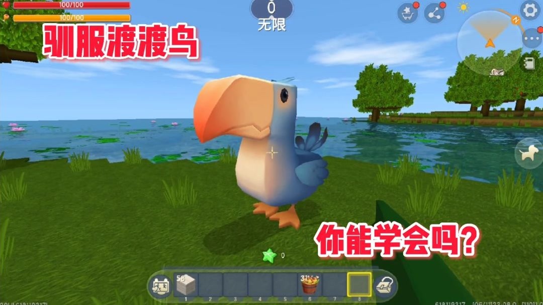 迷你世界:原版生存驯服渡渡鸟小技巧,看完你能学会吗?