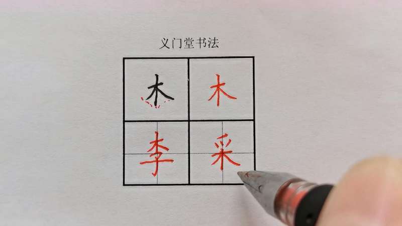 「练字学习视频」硬笔书法写字教程:楷书偏旁部首——木字旁(下)