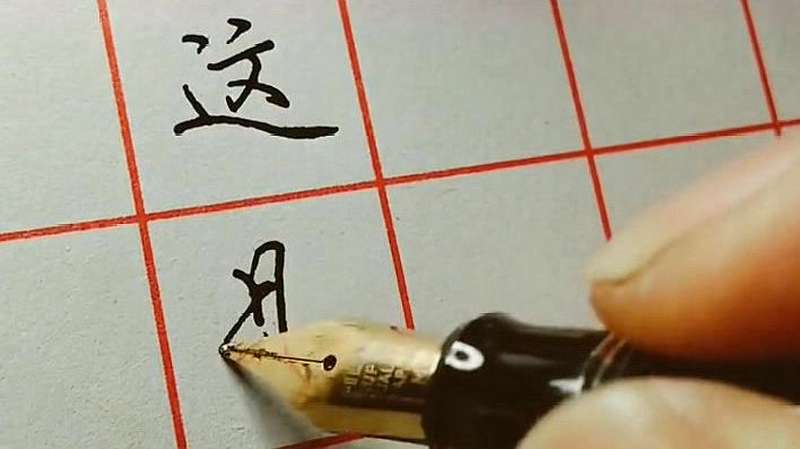 硬笔书法欣赏:“这是什么笔”漂亮的字帖!