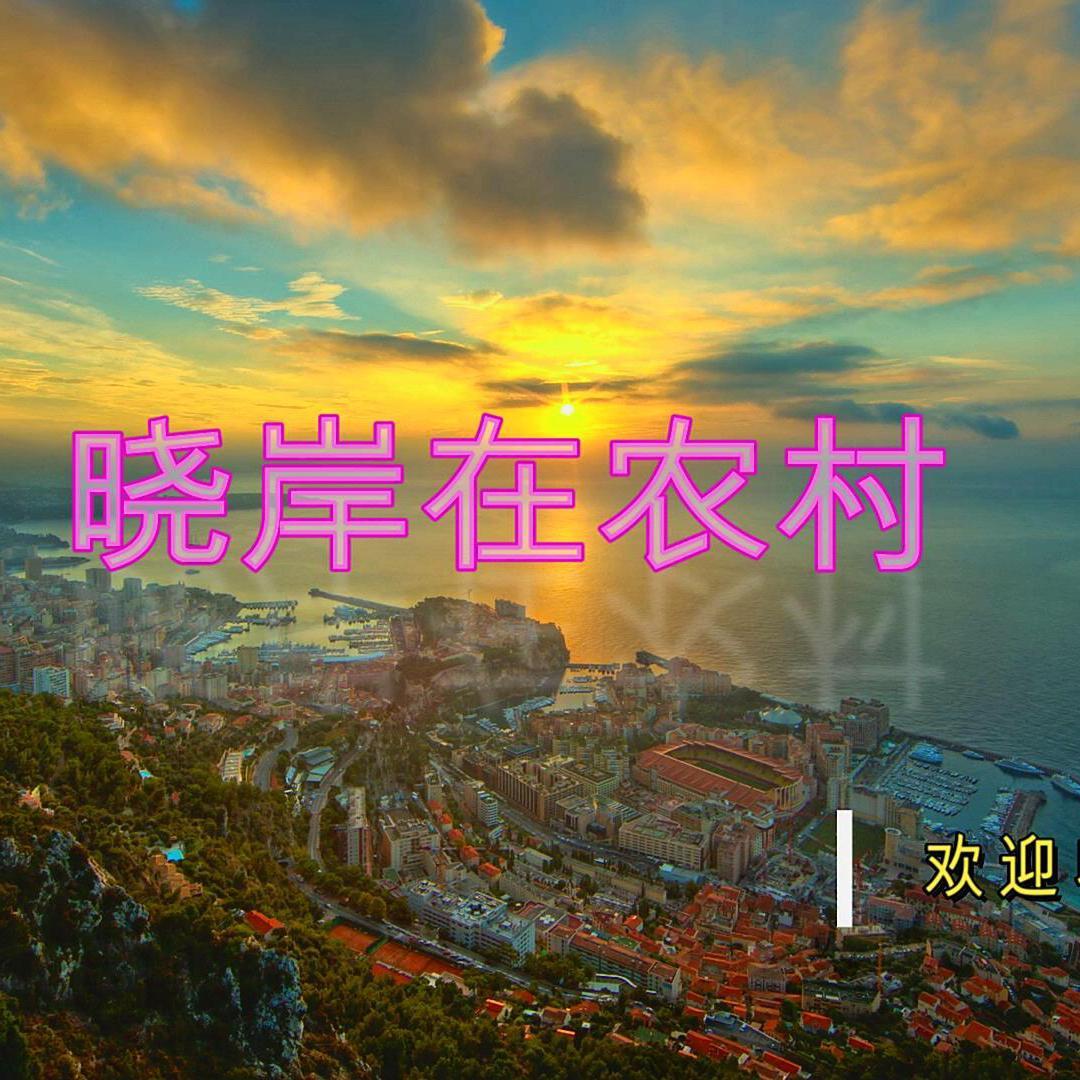 晓岸在农村 
