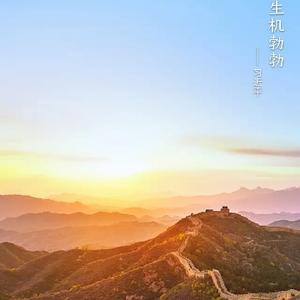 汴梁急救 