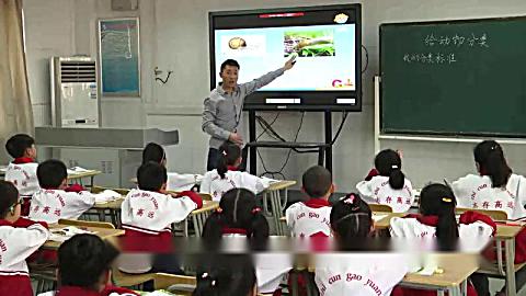 [配课件教案]2.教科版科学一下《6.给动物分类》安徽省一等奖