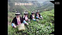 我和你有缘(岭南风)