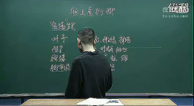 【语文试讲】小学语文无生试讲视频《爬山虎的脚》小学