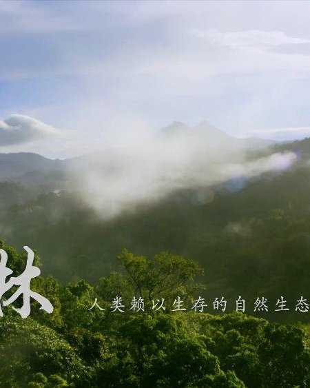 保护森林家园,防患于未燃!