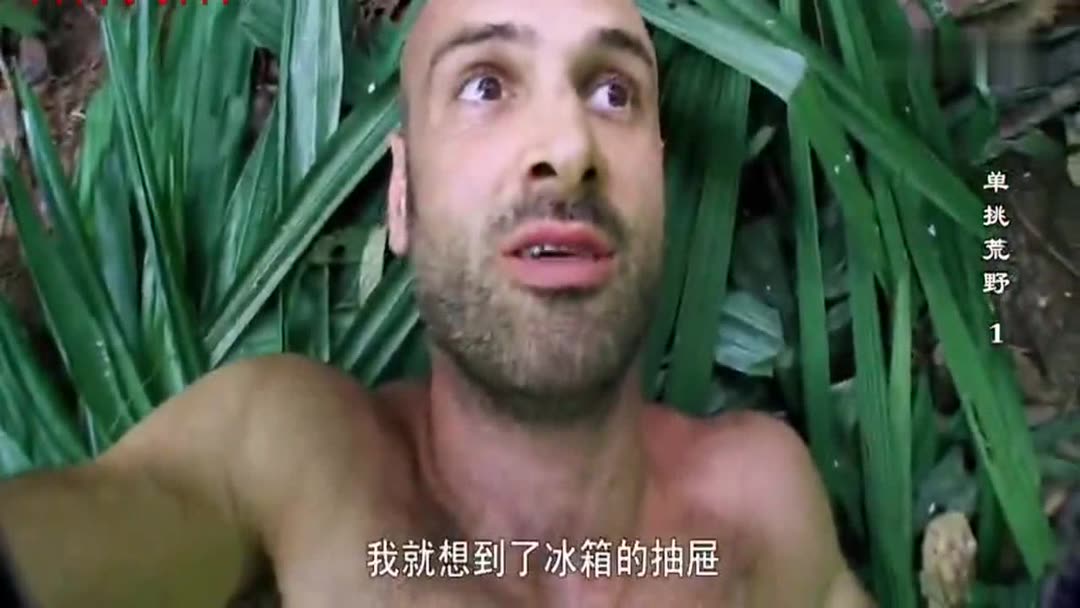 荒野求生:看德爷在野外都吃了些什么,佩服德爷
