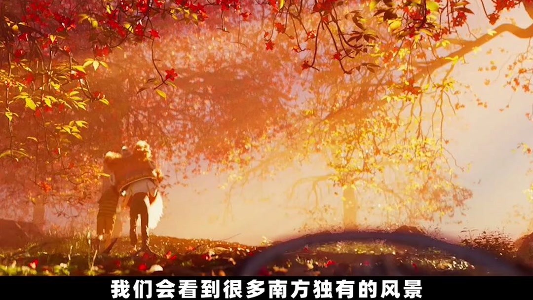 雄狮少年,一个少年怎么成为一个舞狮人